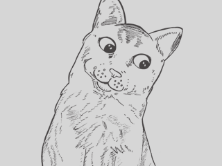 SimpleWebRTC Audio Demo